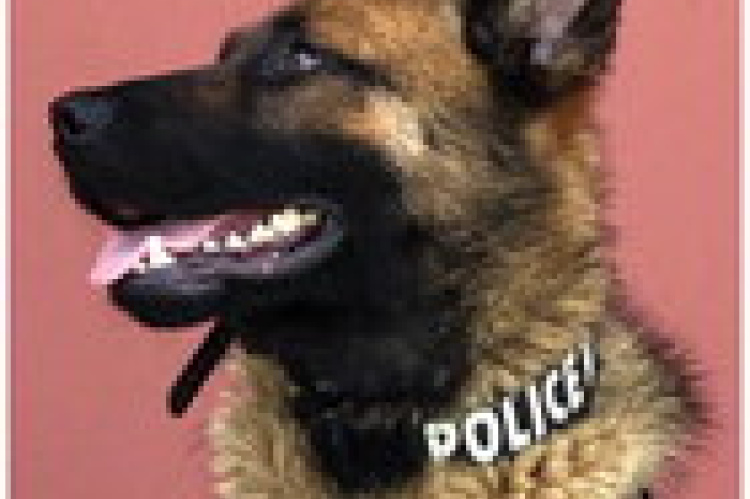 Terrell Police Department adds K9 officer | Terrell Tribune